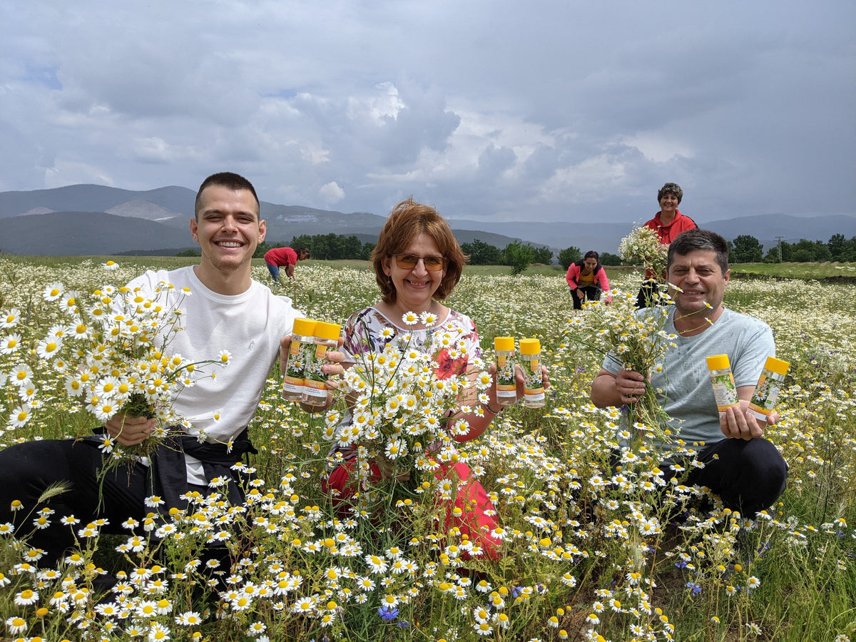 Kako je mali porodični brend pobedio ekcem | InaEssentials.RS